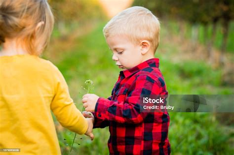 야외에서 사랑스러운 행복한 아이들의 초상화 포도원에서 어린 소녀에게 꽃을주는 아름다운 어린 소년 사랑 우정과 어린 시절의 Conpect 2 3 살에 대한 스톡 사진 및 기타