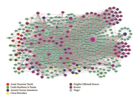 c t network compounds are linked with their targeted proteins node