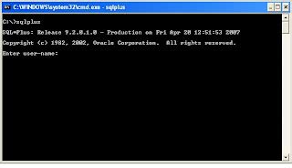 Journal Of A Girl In IT TNS Ping SQLPLUS