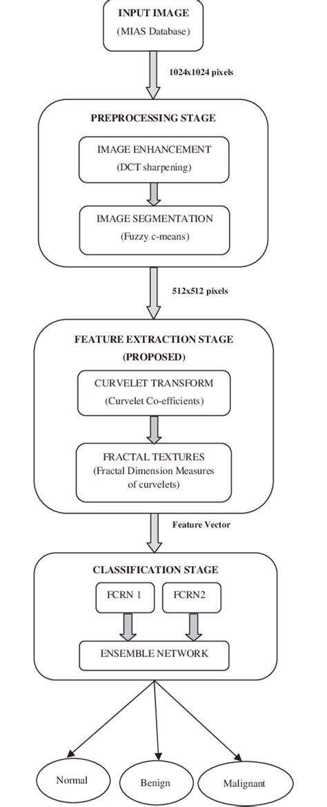 Proposed Cad System For Mammogram Diagnosis Download Scientific Diagram
