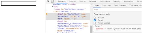 Telerik Web Forms Remove Outline Around Telerik Controls In Chrome Telerik UI For ASP NET AJAX