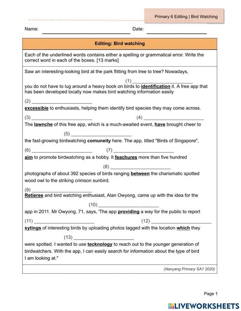 Editing Bird Watching Worksheet Live Worksheets