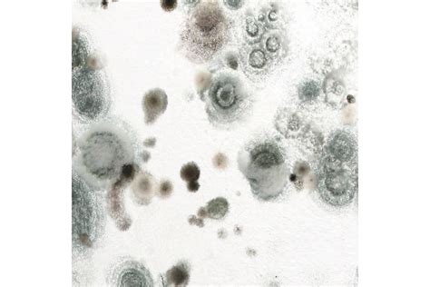 How Moisture Sensor Products Work