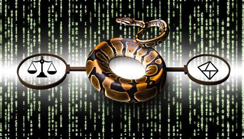 Image Optimization With Python In Scale Guideline Holistic Seo Mubashir Hassan