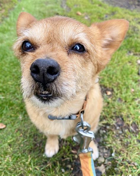 Panama Toni Arrowsmith Flickr