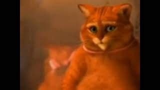 Create Meme Fat Cat From Shrek Shrek Puss In Boots Pictures