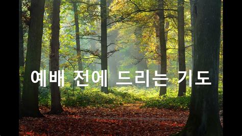 230917 예배 전에 드리는 기도 예문교회 Youtube