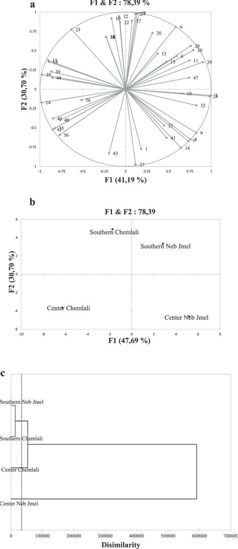 Chemometric Analysis A Projection Of The Variables On The