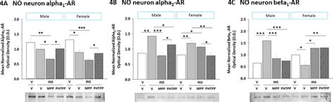 Sex Dimorphic Estrogen Receptor Regulation Of Ventromedial Hypothalamic