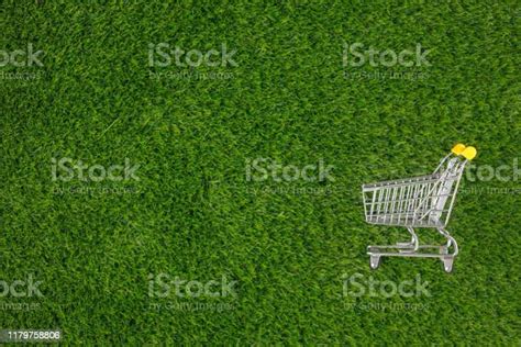 쇼핑 중독 구매자 쇼핑 개념입니다 클로즈업 녹색 잔디의 배경에 고립 된 쇼핑 트롤리 공간을 복사합니다 개념에 대한 스톡 사진 및 기타 이미지 Istock