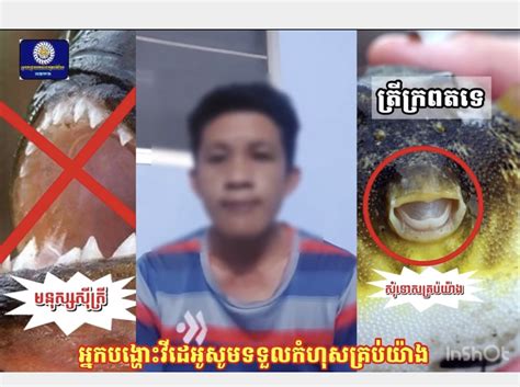 ស្នងការដ្ឋាន នគរបាល ខេត្ត បាត់ដំបង