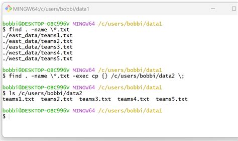 bash copy all files with specific extension from all subdirectories
