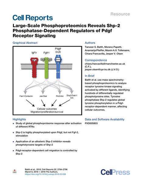 Pdf Large Scale Phosphoproteomics Reveals Shp 2 Phosphatase Dependent
