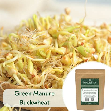 Microgreens Vegetables Premier Seeds Direct