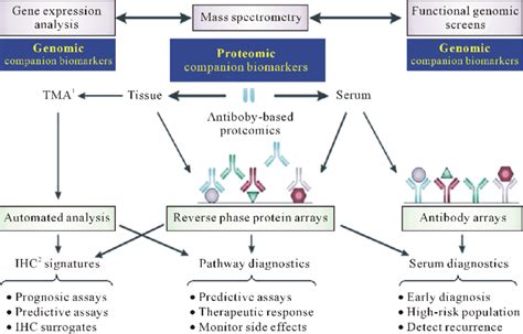Discovering Of Proteomic Companion Biomarkers Ihc 1 Download