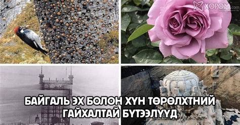 Бидний дэлхий ертөнц ямар гайхамшигтай баялаг болохыг харуулсан 39 гэрэл зураг