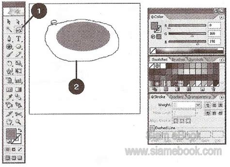 การเลือกภาพด้วยเครื่องมือ Lasso ใน Illustrator Cs