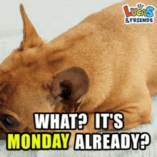 Monday Again S Tenor