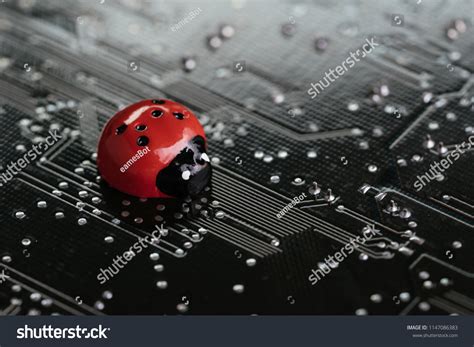 Debugged Images Stock Photos Vectors Shutterstock