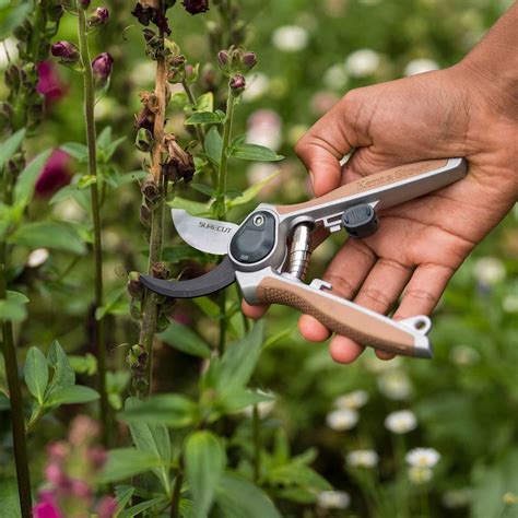 Garden Life All Purpose Mini Secateurs Buy Garden Secateurs Online