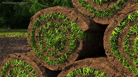 압연 잔디밭 작은 더미 3d 모델 39 Max Free3d