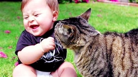 Cutest Babies Play With Dogs And Cats Compilation Cool Peachy Youtube