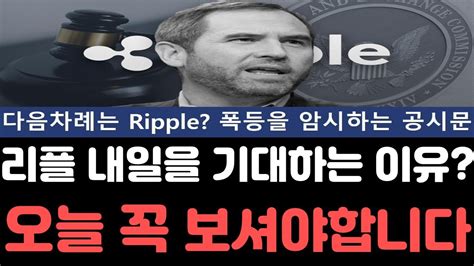 리플전망 리플 주말에 갑자기 Xrp폭등랠리를 암시하는 Ceo 이번엔 리플 차례다 오늘 영상은 꼭 보셔야합니다 리플전망