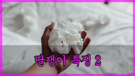 딸쟁이 특징 2 Youtube