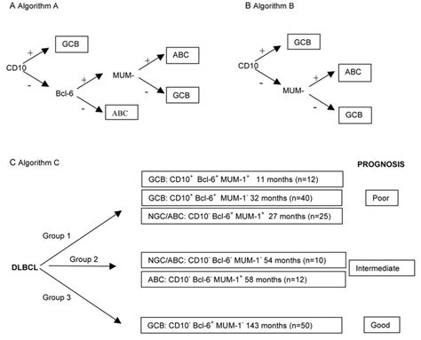 Predictive Ihc Algorithms Stratifying Dlbcl With Respect To Clinical Prognosis Research Image