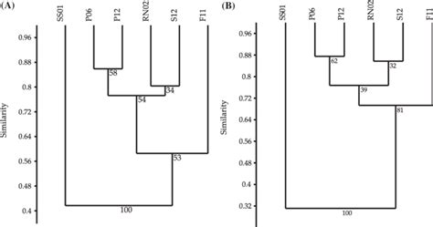 Cluster Analyses Using Kulczynskis Index A Dendrogram For All