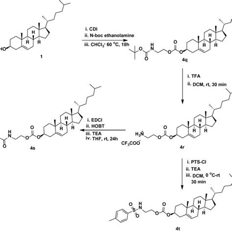 Examples For Ester Derivatives Of Cholesterol Shown Biological Activities Download Scientific