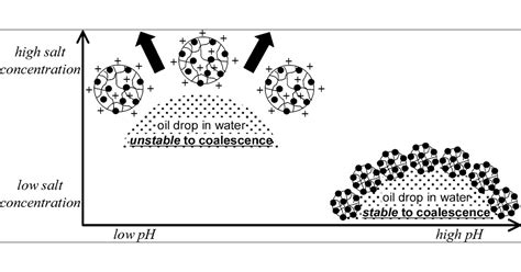 Concentration Circle
