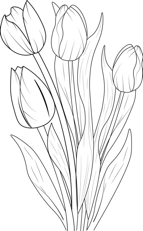Tulip Coloring Page
