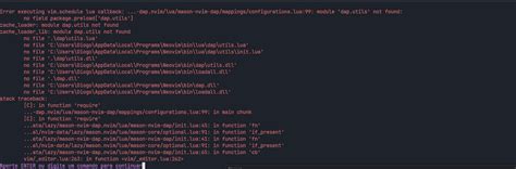 help dap install r astronvim