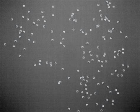 Agentmorrispublic Drone Datasets Md At Main Agentmorris Agentmorrispublic GitHub