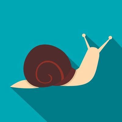 Snail Vector Art Icons And Graphics For Free Download