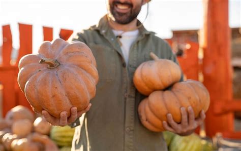 Коли збирати гарбузи на зберігання корисні поради які варто памятати Читайте на Ukr Net