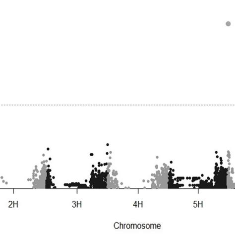 Manhattan Plot Showing The Results Of The Genome Wide Association Scan
