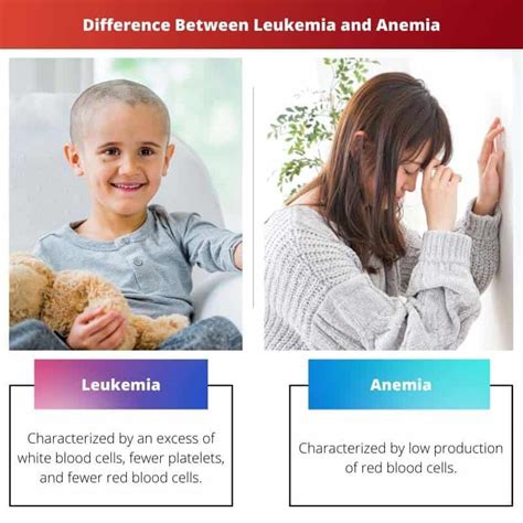 Leukemia Vs Anemia Difference And Comparison