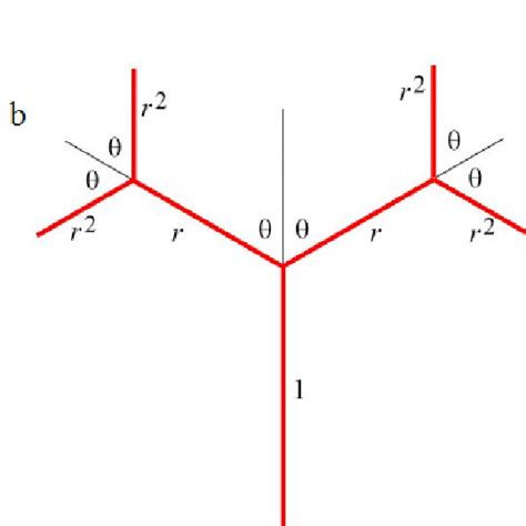A Conventional Symmetric Binary Tree Structure B Schematic