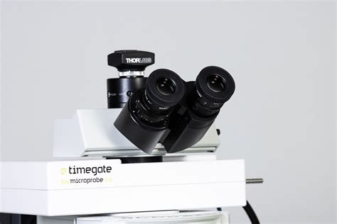 Microprobe Timegated® Raman Technology
