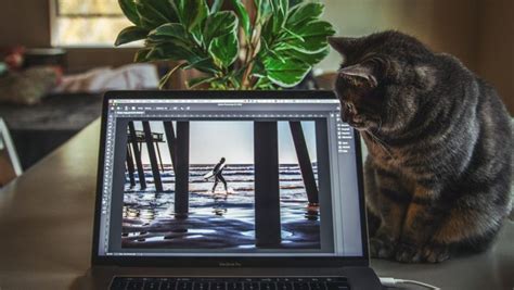 How To Create An Effective Photoshop Workflow 42west Adorama