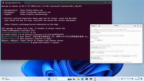 When Running Snapd Programs With Built In Systemd Support There Is Some Waring About D Bus