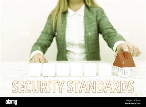 Hand Writing Sign Security Standards Business Showcase The Scope Of Security Functions And