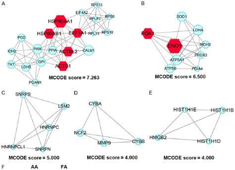Significant Modules In The Ppi Networks A Module 1 Consists Of 20 Download Scientific Diagram