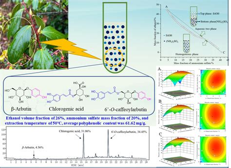 Ultrasonic‐assisted Biphasic Aqueous Extraction Of Polyphenols From