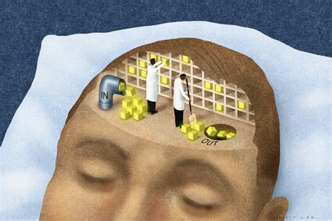 Over Time As Memories Get Encoded In The Cortex Many Of Those Spatial