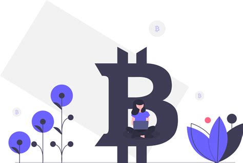 Third Party Vs Self Hosted Bitcoin Payment Gateways Vpsbgeu