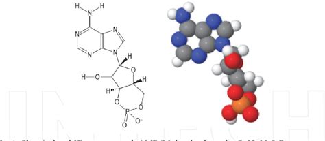 Figure 1 From Cyclic Nucleotides And Nucleotide Cyclases In Plant