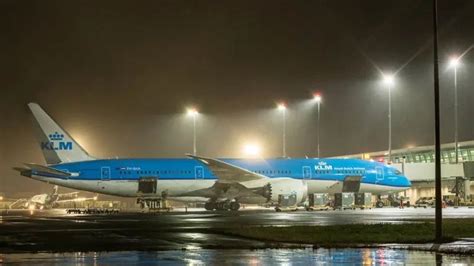 Экстренную посадку совершил самолёт на Бермудах из за свиней на борту